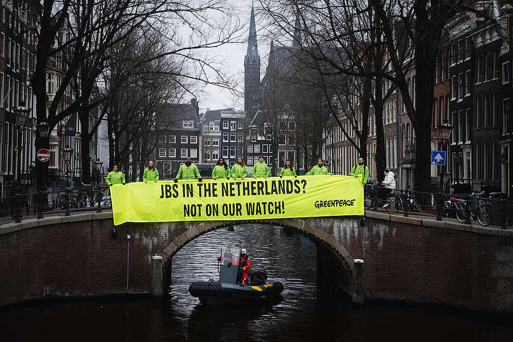 Forests - Greenpeace International