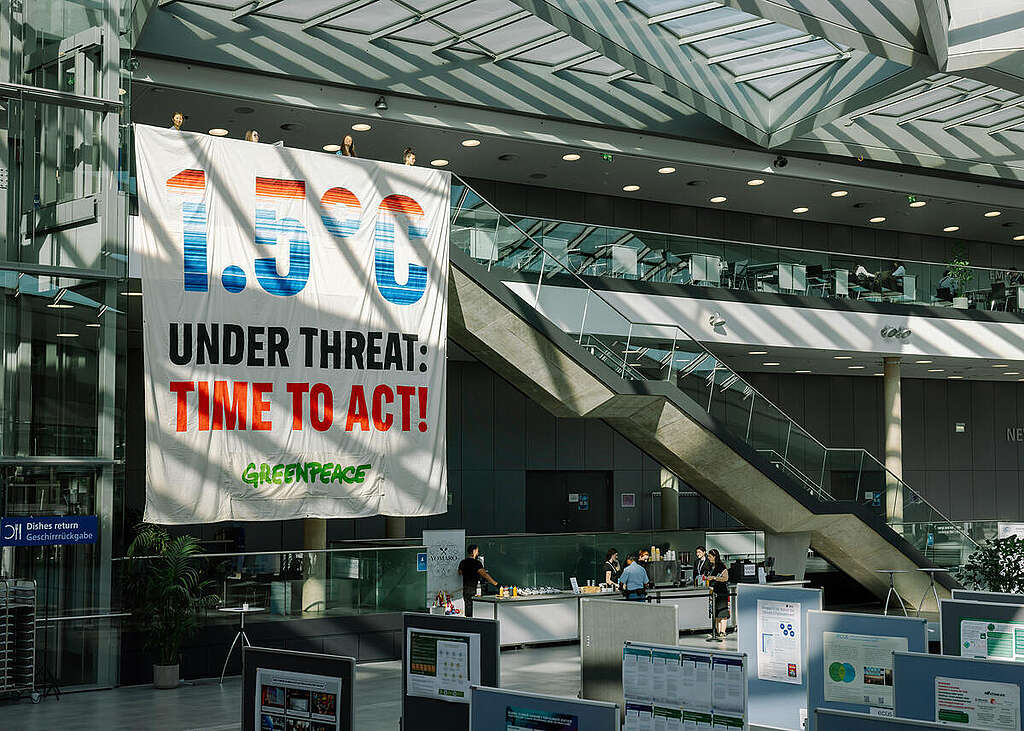 Residents of Bonaire and Greenpeace Netherlands sue the Dutch State for ...