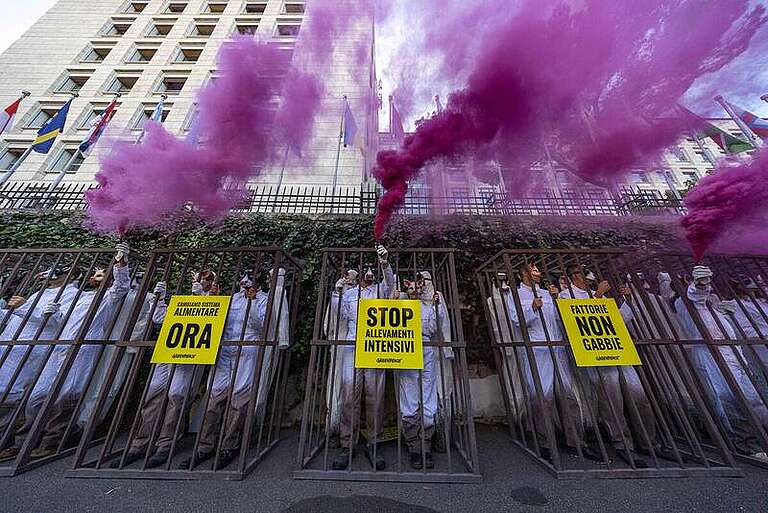 The definitive guide to the animals of the Amazon Rainforest ...