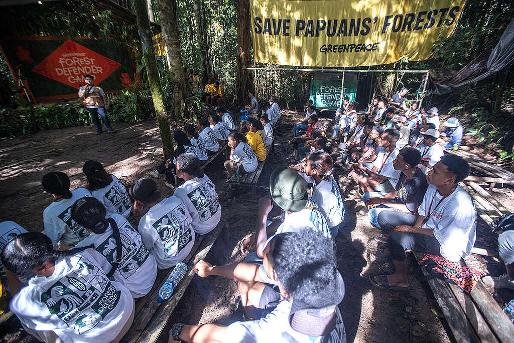 Forests - Greenpeace International