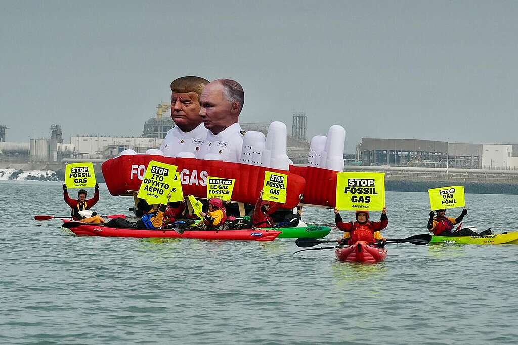 Witness - Greenpeace International