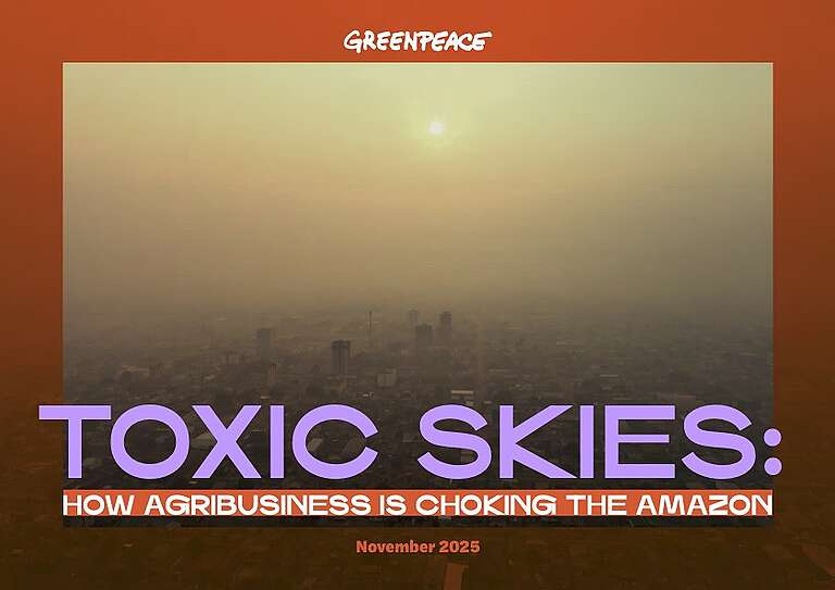 Publications - Greenpeace International