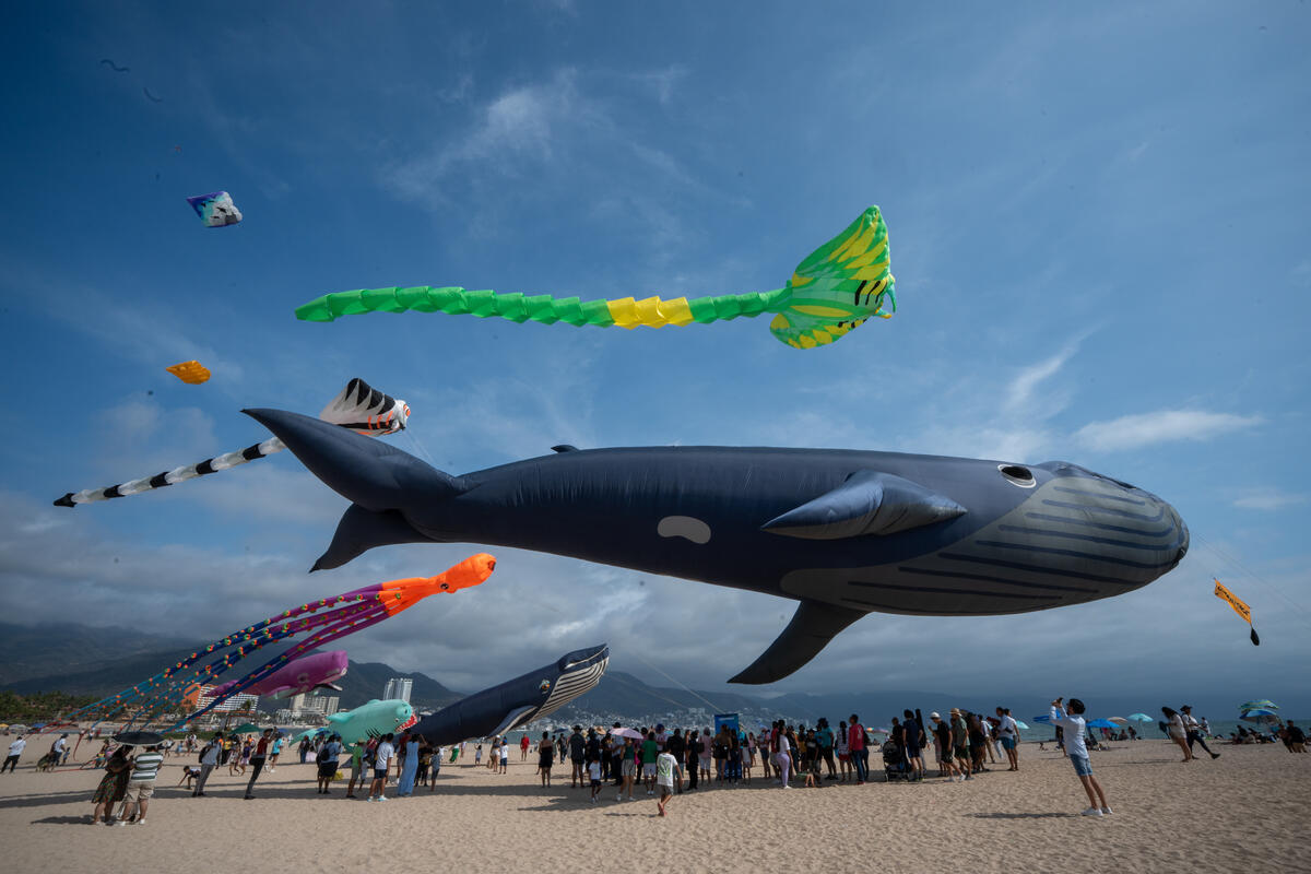 Best of Greenpeace action photos 2025 - Greenpeace International