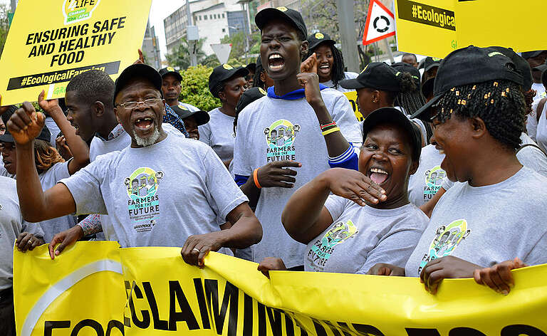 History & Successes - Greenpeace International