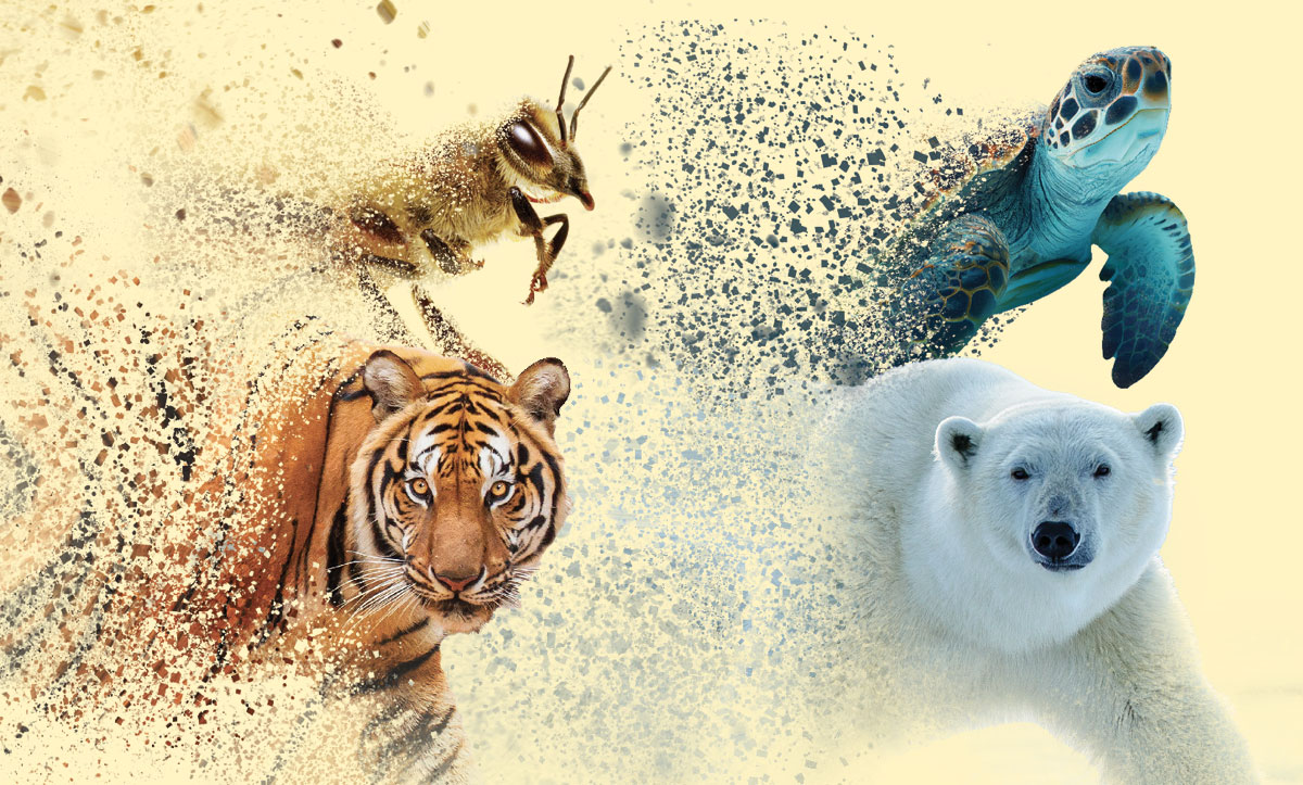 Animali a rischio estinzione: quali sono e come puoi aiutarli ...