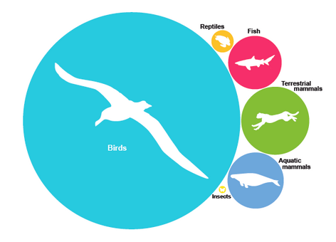 Molte specie di animali migratori sono a rischio estinzione ...