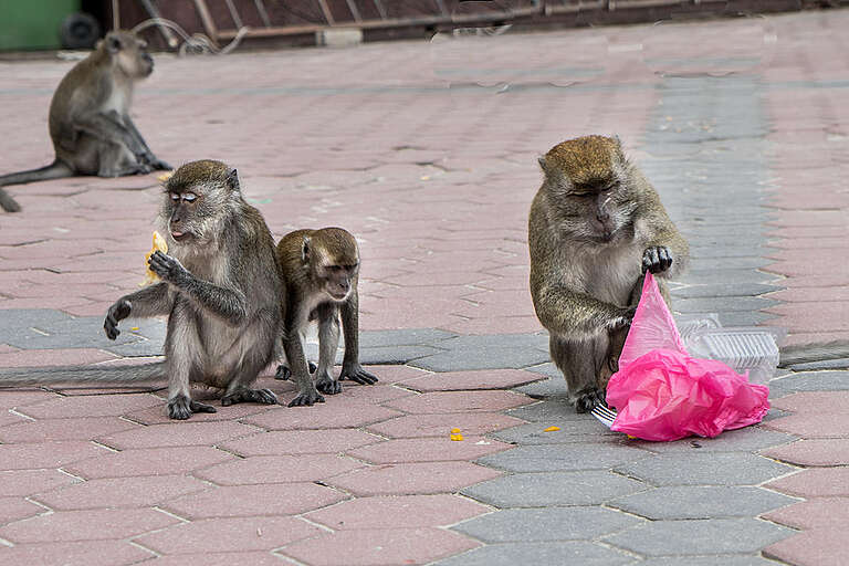 Why we need a strong Global Plastics Treaty - Greenpeace Malaysia