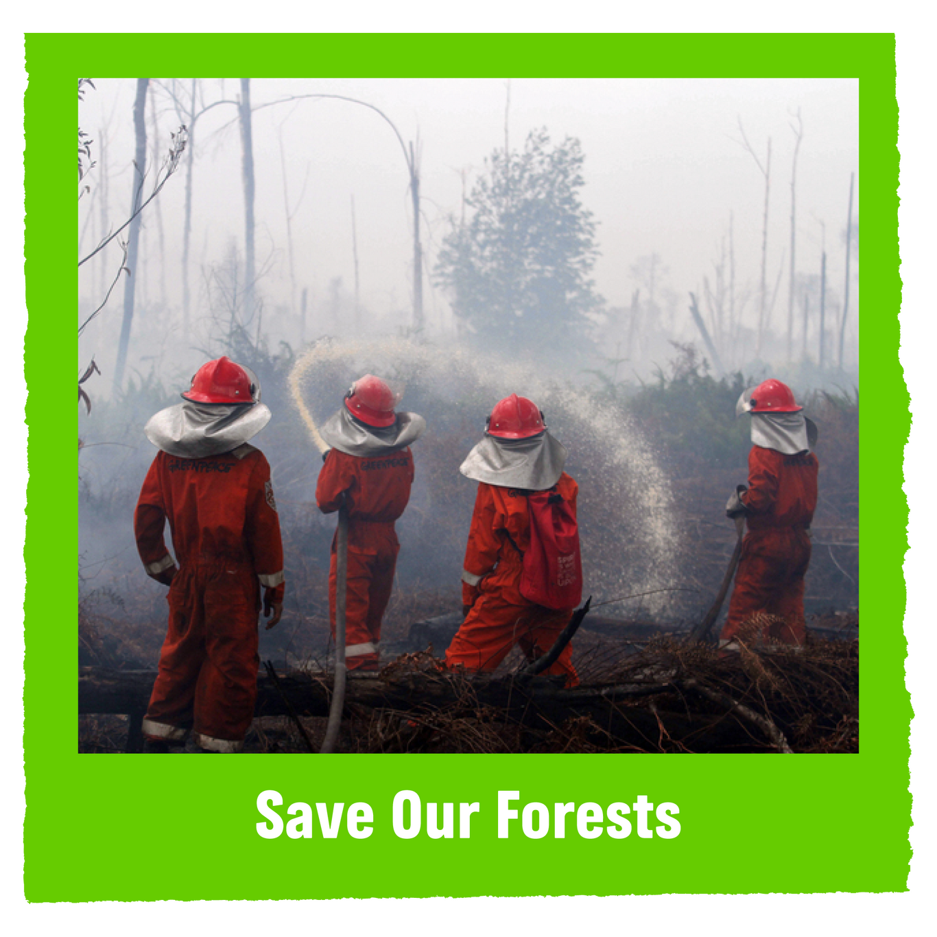 Fundraise - Greenpeace Malaysia