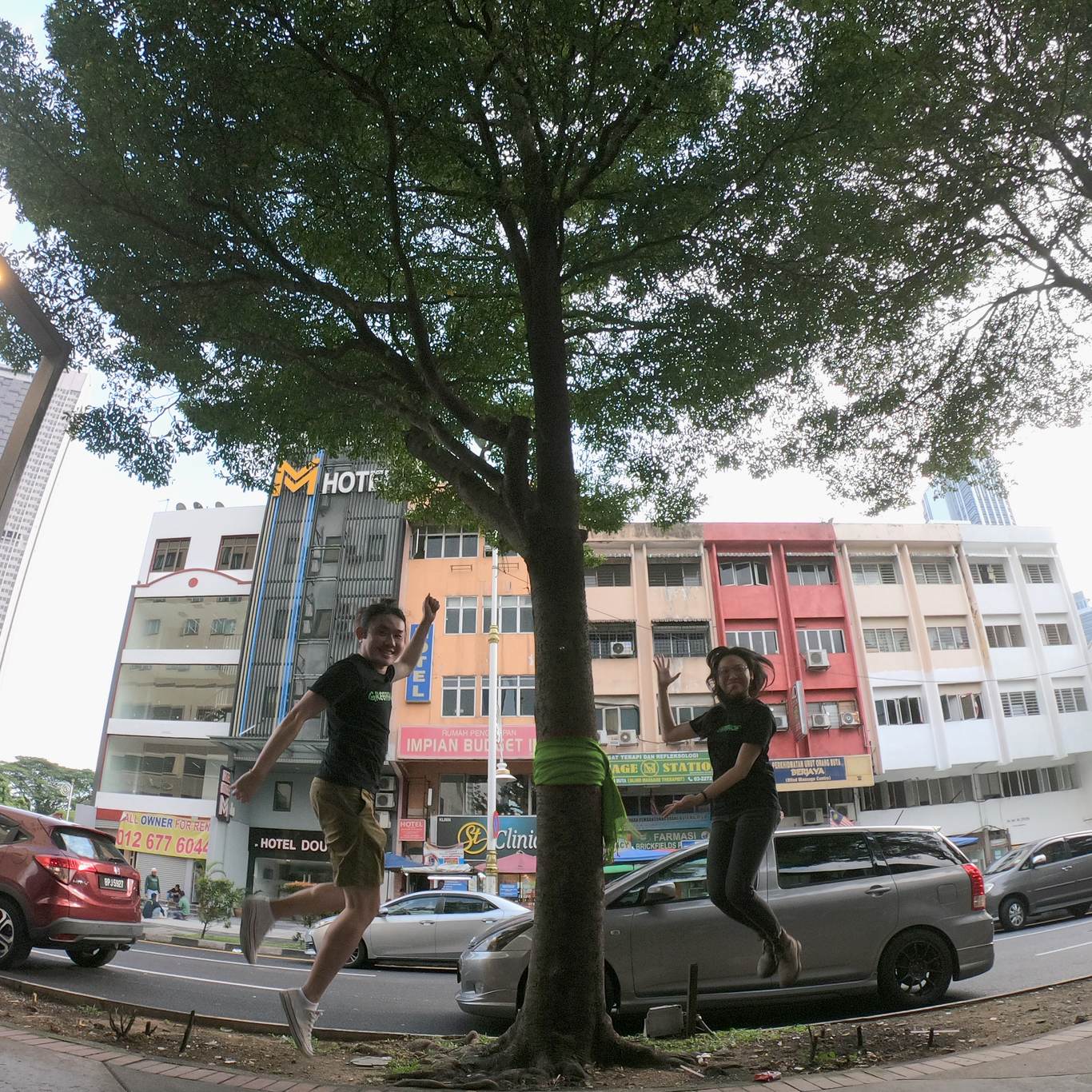 Valuing our urban canopy - Greenpeace Malaysia