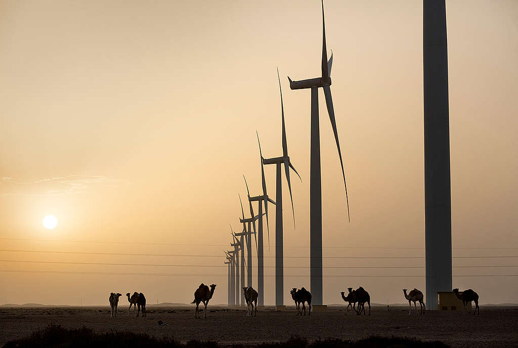 Greenpeace welcome Gebel el-Zeit wind farm as landmark energy plant ...