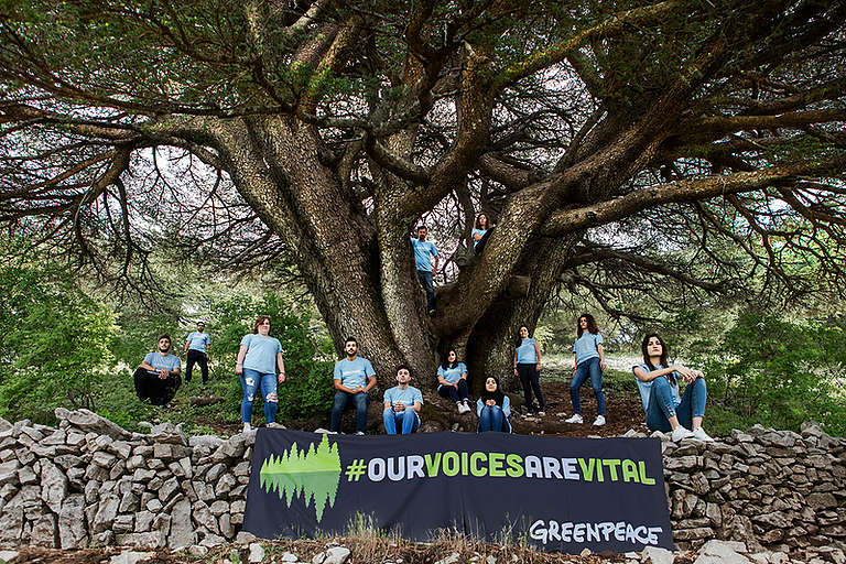 Our Values - Greenpeace Middle East and North Africa - Greenpeace ...