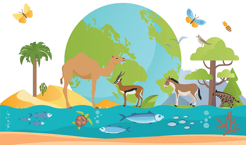 Publication - Greenpeace Middle East and North Africa