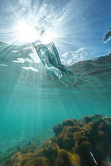 Ocean Pollution and Risks, and Supporting Greenpeace's Work for Ocean ...