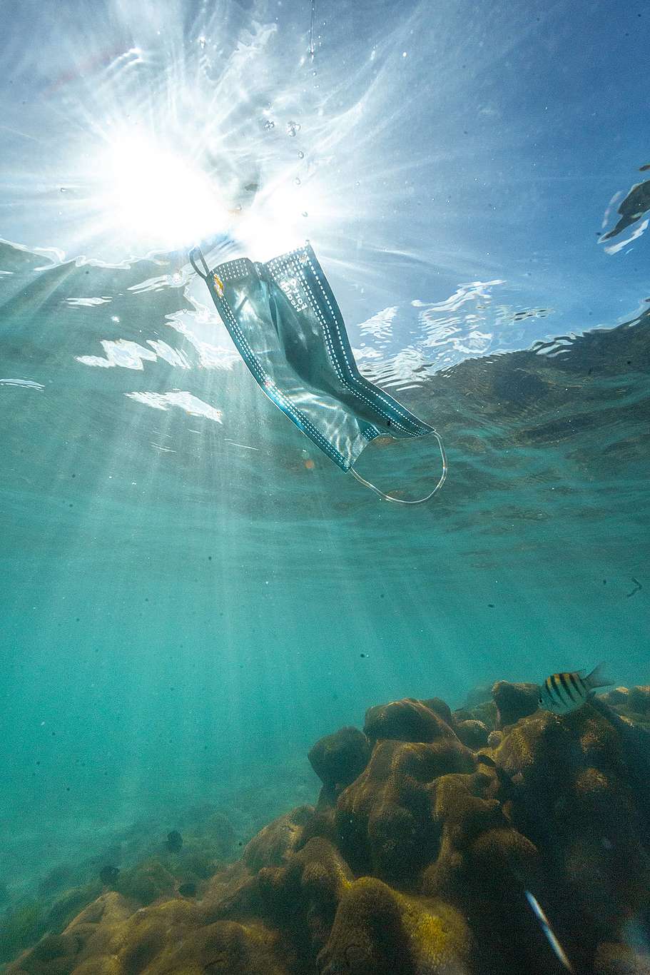 Ocean Pollution and Risks, and Supporting Greenpeace's Work for Ocean ...