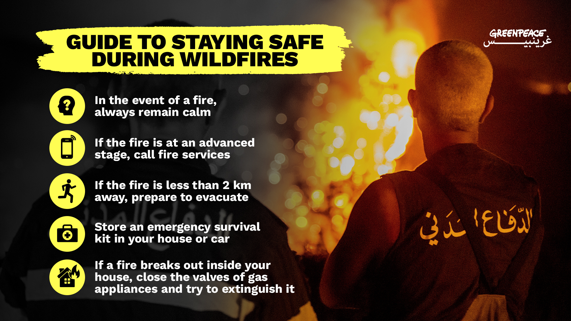 How to Deal with Wildfires? - Greenpeace Middle East and North Africa ...