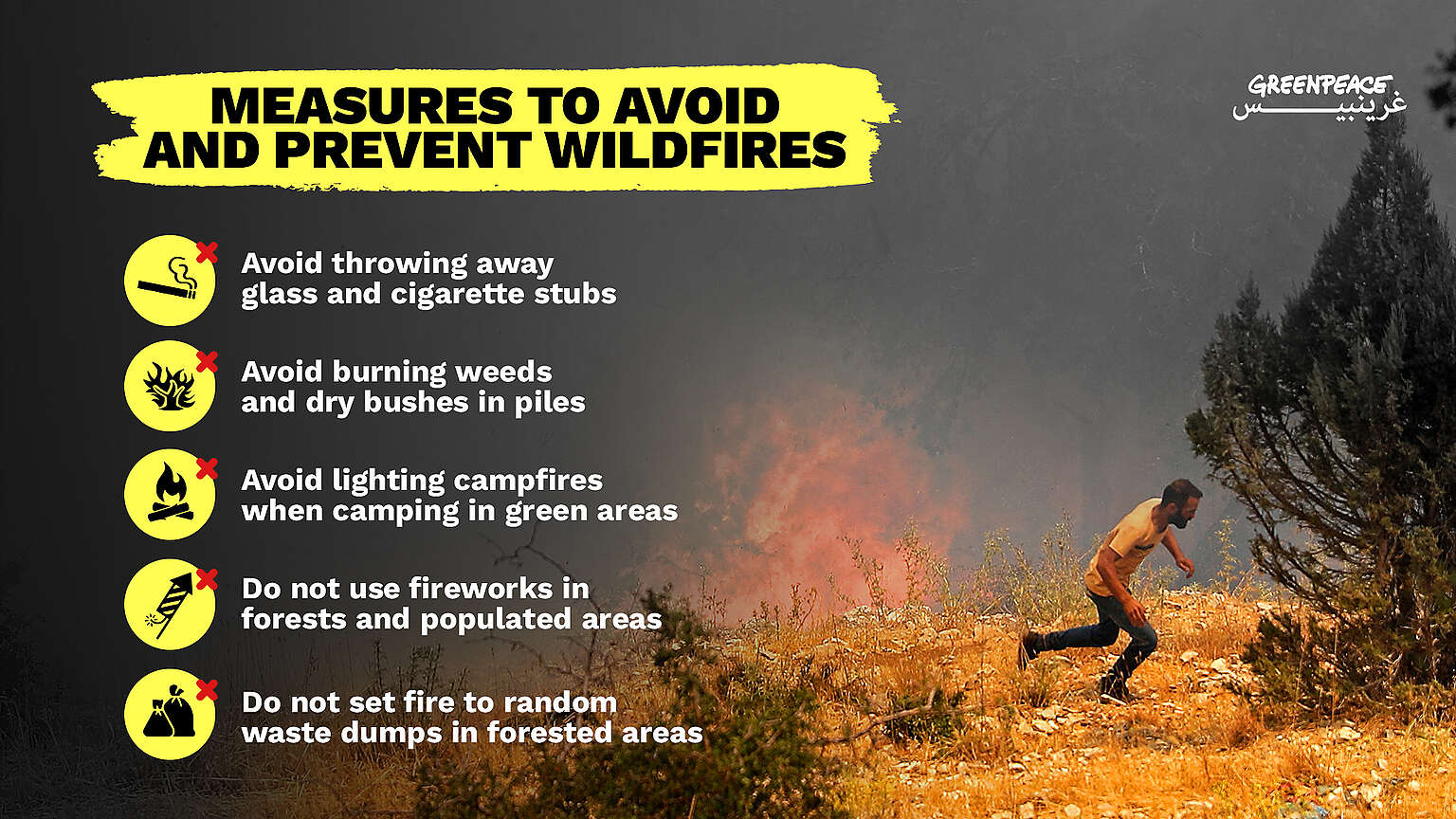 How can we prevent fires? - Greenpeace Middle East and North Africa - Greenpeace Middle East and ...