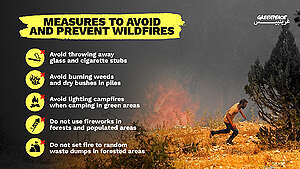 How can we prevent fires? - Greenpeace Middle East and North Africa ...