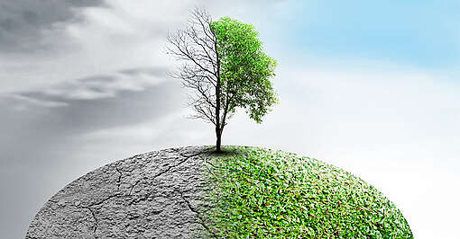 What is the Difference Between Weather and Climate? - Greenpeace Middle ...