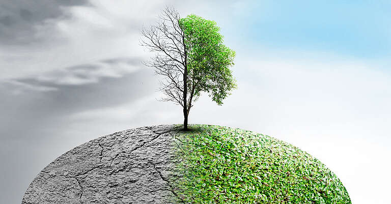 What is the Difference Between Weather and Climate? - Greenpeace Middle ...