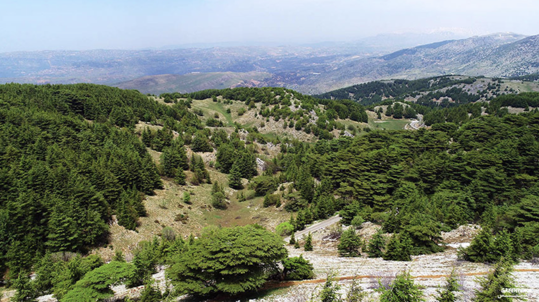 Desertification in North Africa: A Growing Threat to the Environment ...