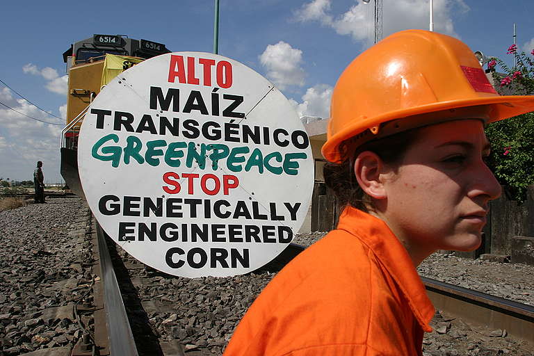 50 años de Greenpeace: los logros que cambiaron el rumbo - Greenpeace ...