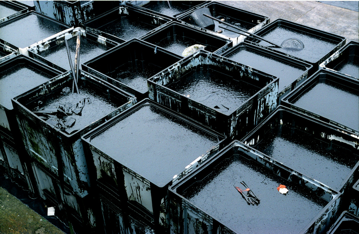 4 cosas que no sabías sobre el combustóleo - Greenpeace México