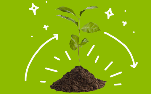 ¿Qué es el consumo responsable y por qué debería importarte ...