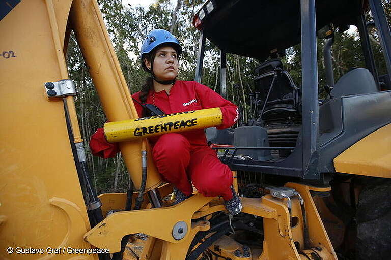 Descubre - Greenpeace México