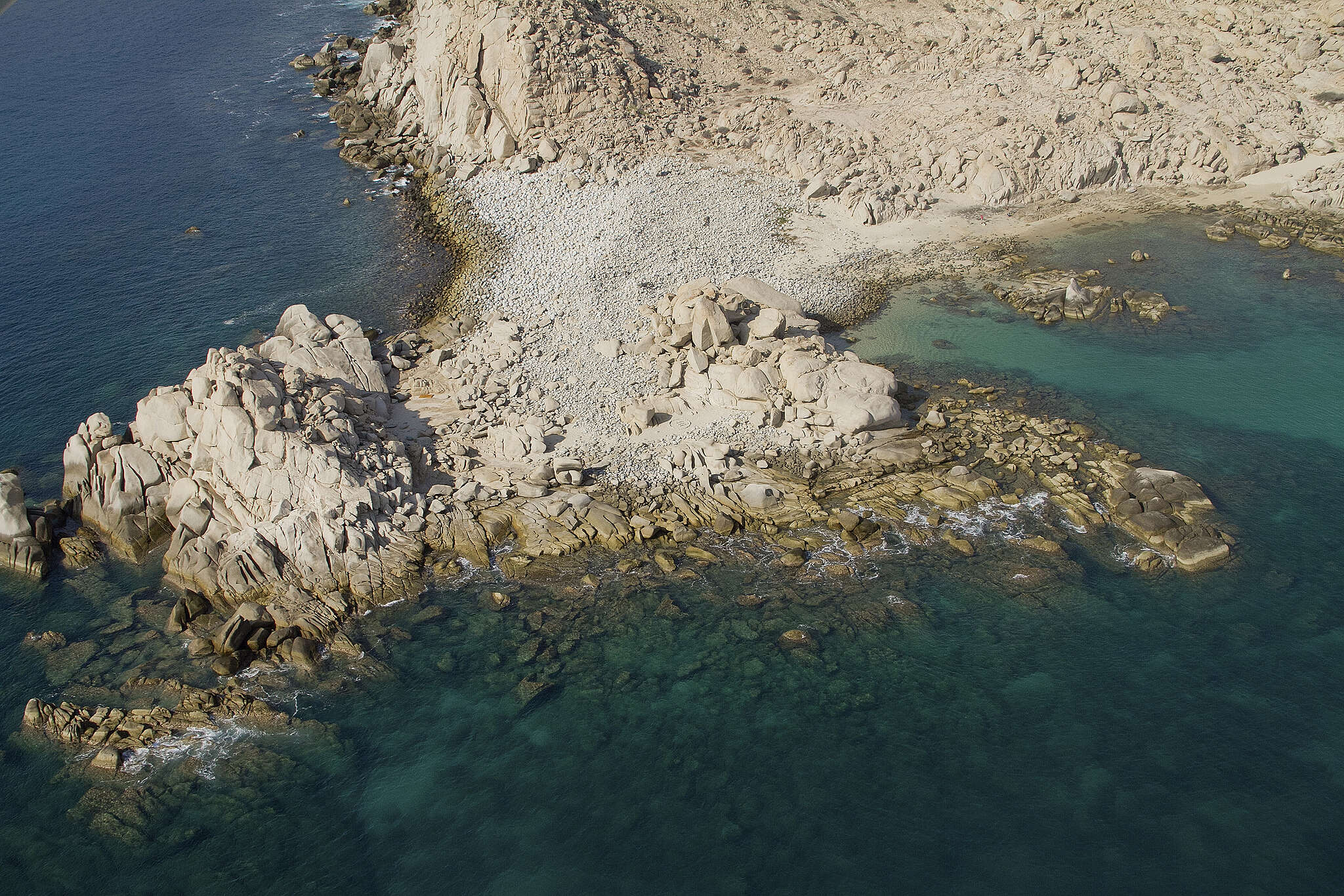 Semarnat aprueba nuevo proyecto turístico en Cabo Pulmo - Greenpeace México