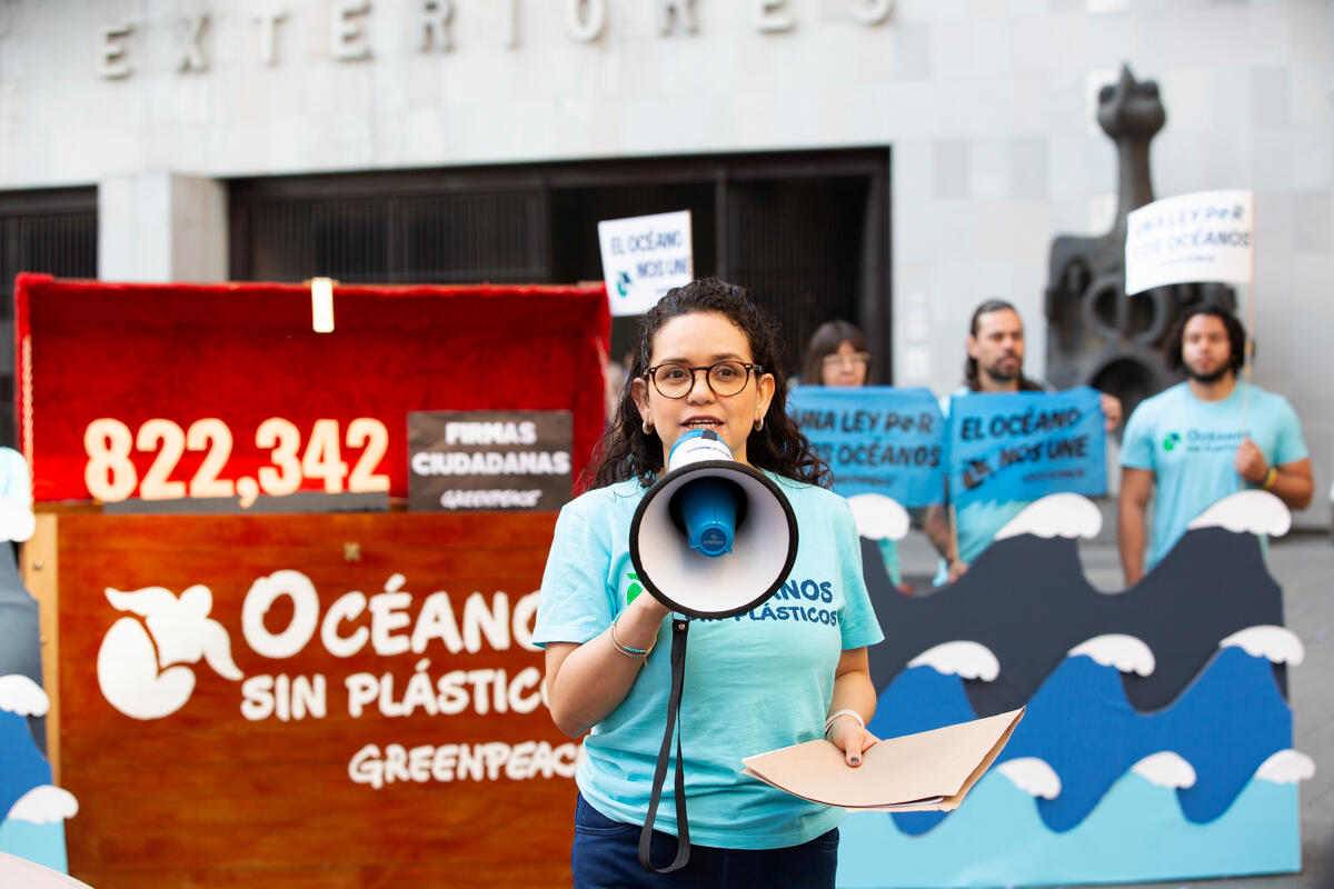 Descubre - Greenpeace México