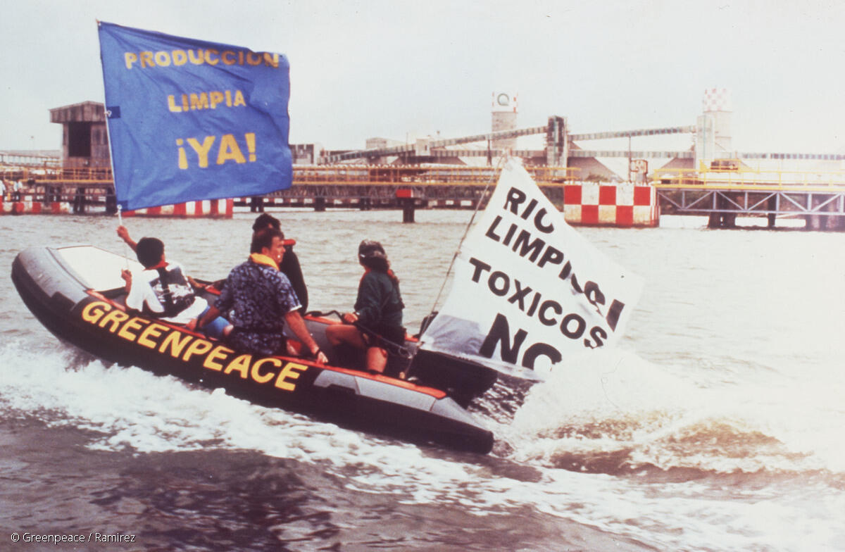 Greenpeace México, 32 años de lucha, logros y agradecimiento ...