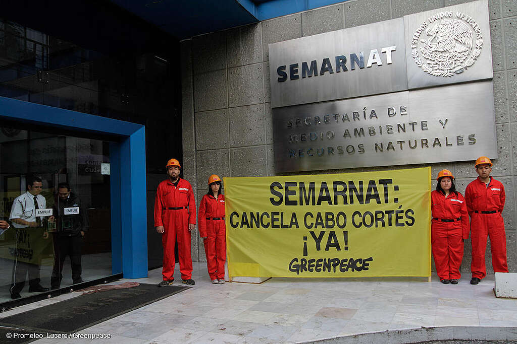 Greenpeace y su lucha contra el turismo depredador - Greenpeace México
