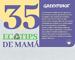 Tips y Guías Ambientales: Cambios Sencillos, Impacto Real - Greenpeace ...