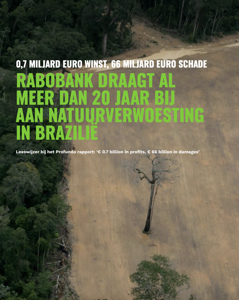 0,7 miljard euro winst, 66 miljard euro schade: Rabobank draagt al meer ...