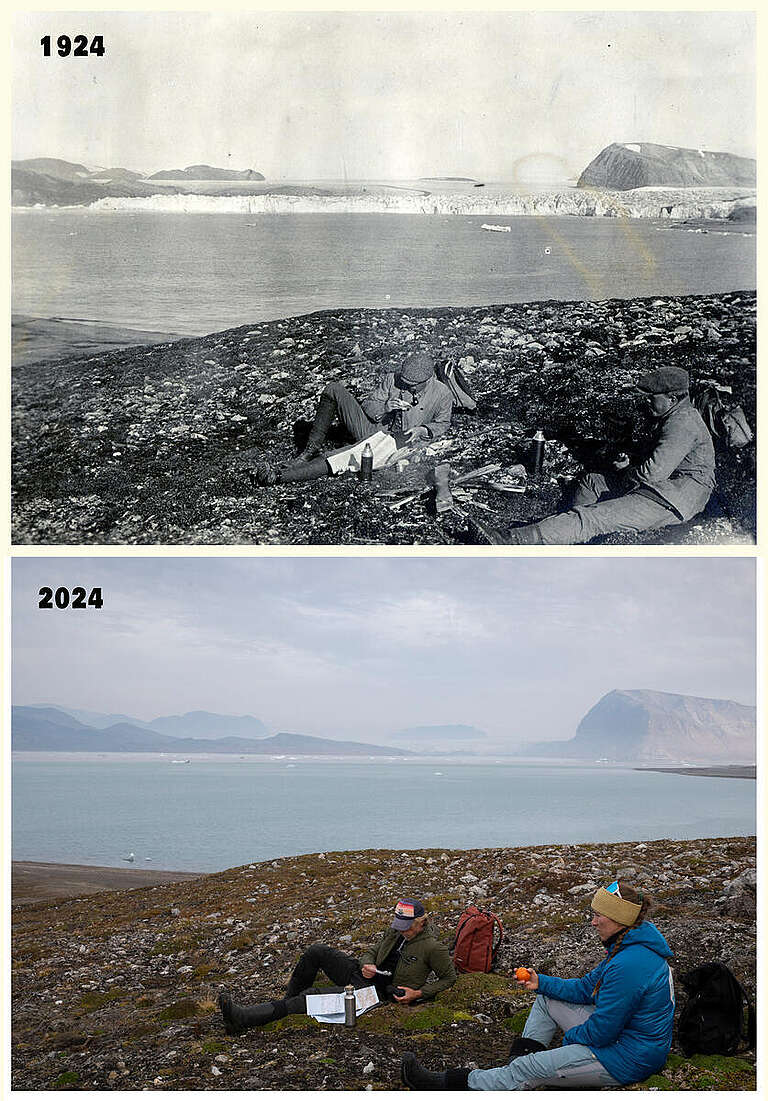 8 flotte dyr i Amazonas - Greenpeace Norge