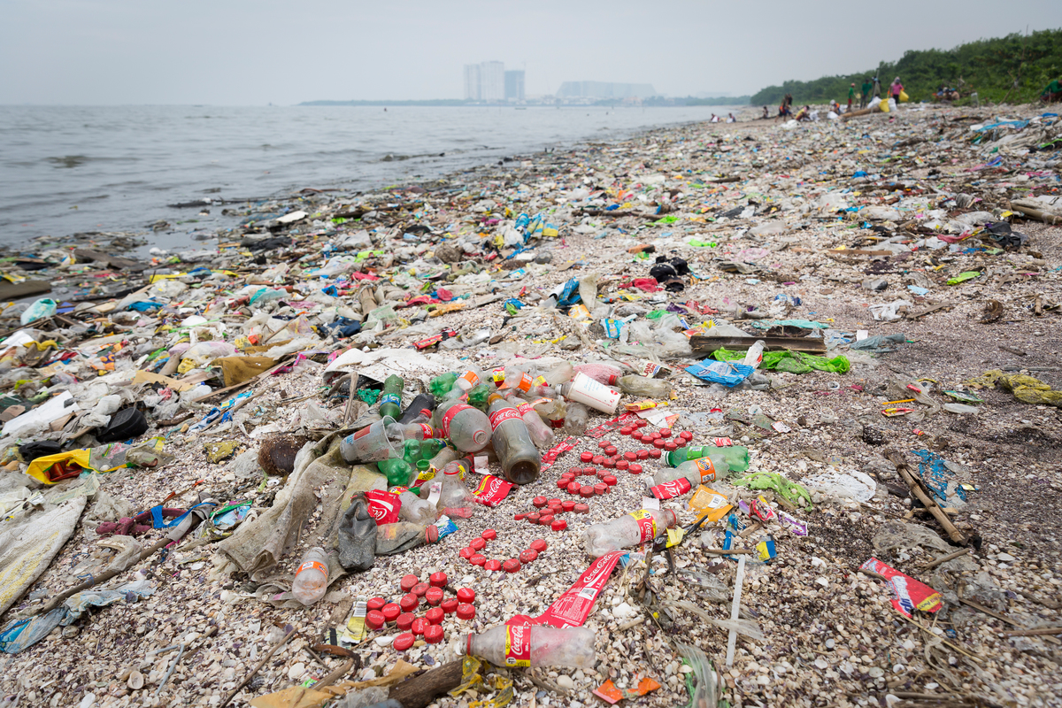 Big brands must seize the moment to end the plastic pollution crisis ...