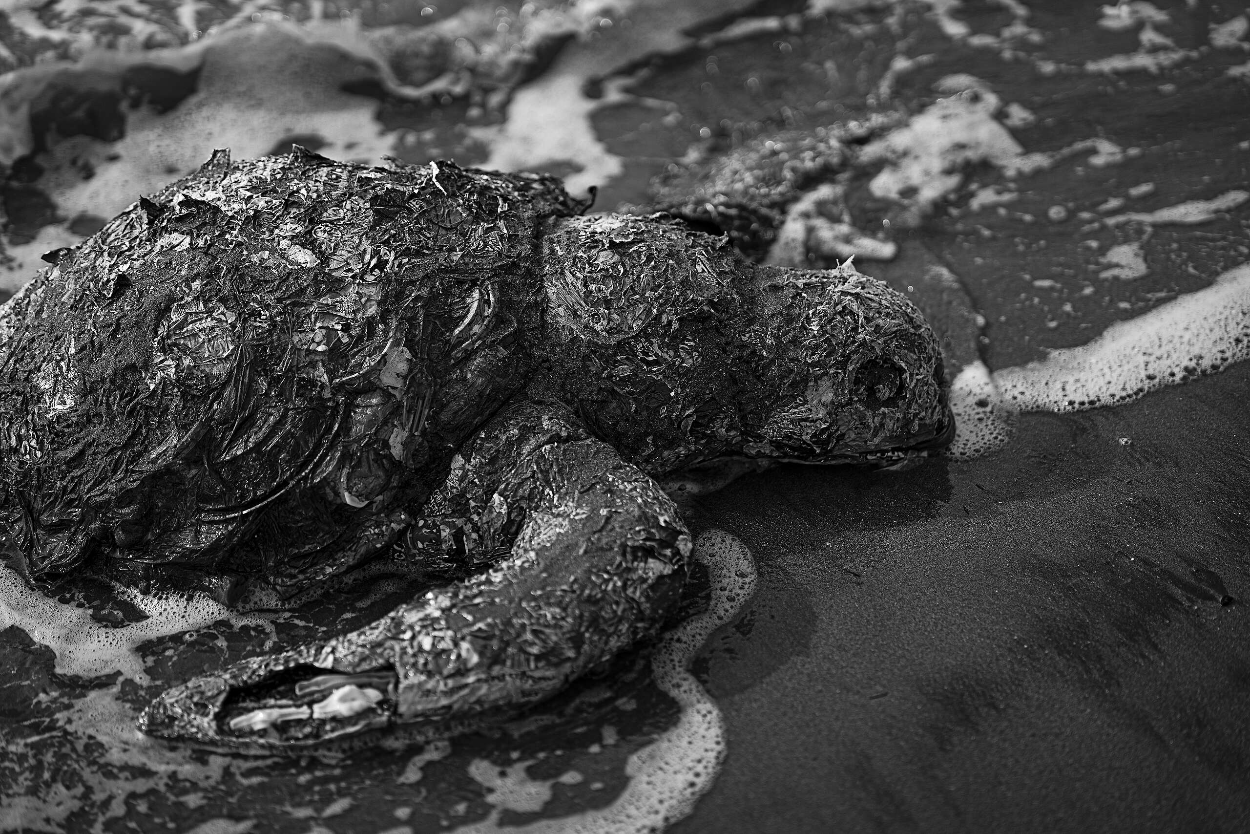 Greenpeace calls for Plastics Treaty to be set in ‘black and white ...