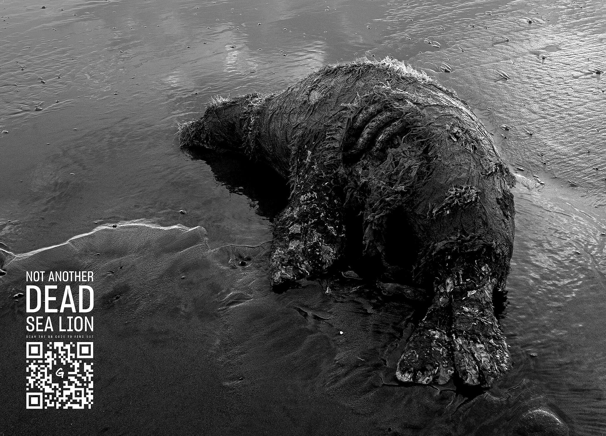Greenpeace calls for Plastics Treaty to be set in ‘black and white ...