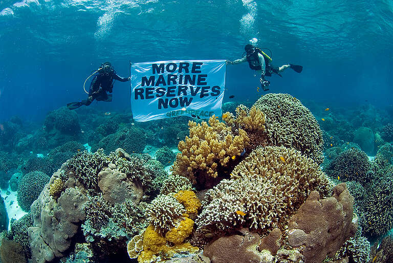 Previous Campaigns - Greenpeace Philippines