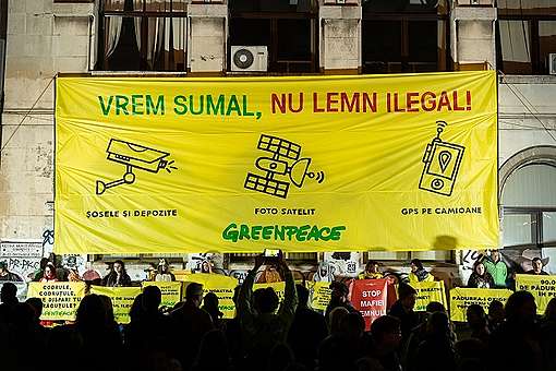 SUMAL 2.0 și Inspectorul Pădurii, lansate doar pe sfert - Greenpeace ...