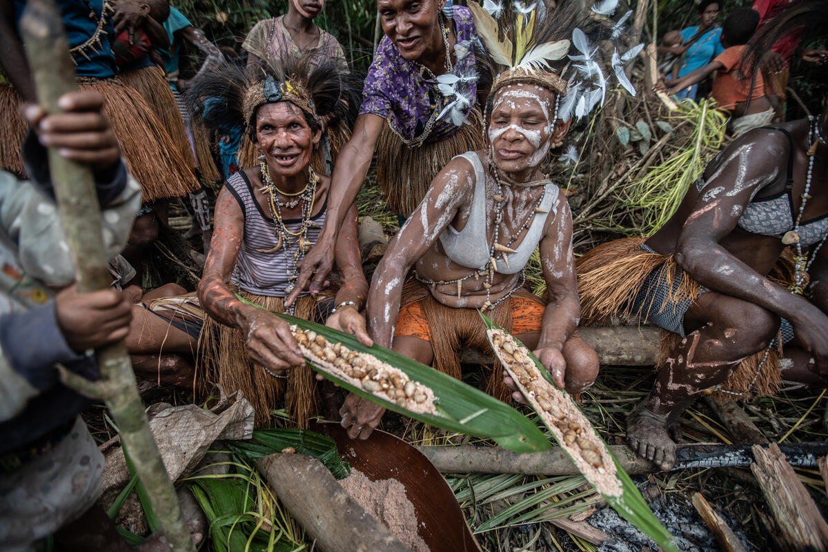 Court Hears of Awyu Women’s Dependence on Customary Forest Land ...