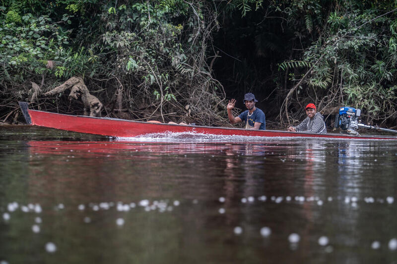 Stand with the Indigenous Auyu to defend Papuan Forests - Greenpeace ...