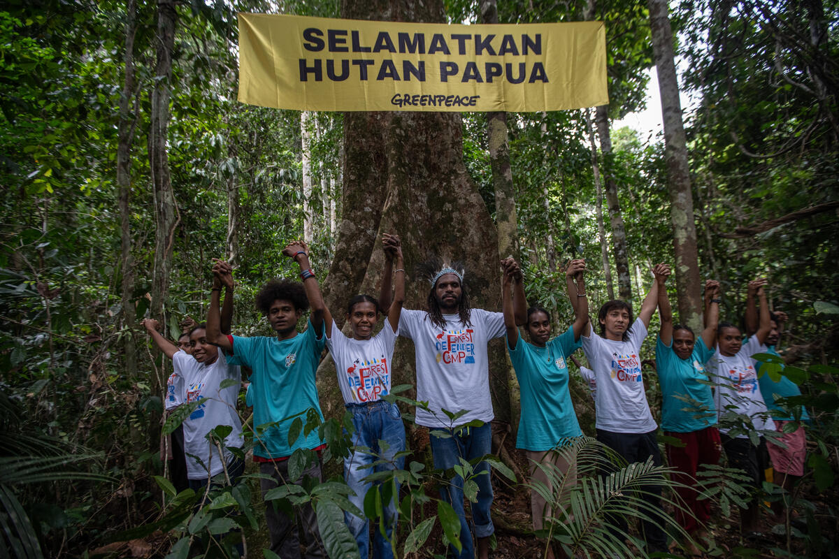 From the Papuan wilderness, indigenous youths unite and call on ID ...