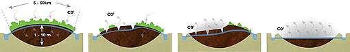 Why peat matters - Greenpeace Southeast Asia