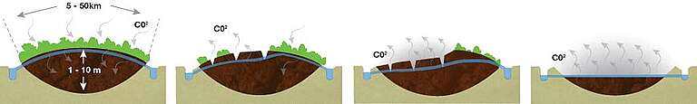 Why peat matters - Greenpeace Southeast Asia