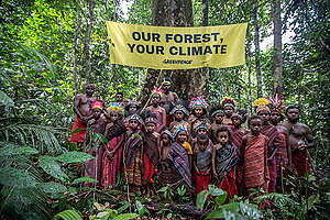 Protect the Forests - Greenpeace Southeast Asia