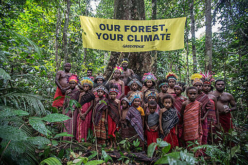 Protect the Forests - Greenpeace Southeast Asia