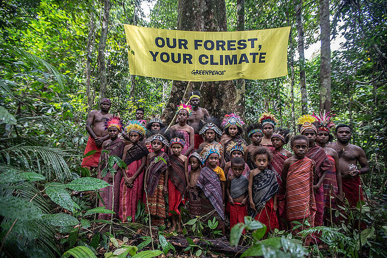 Protect the Forests - Greenpeace Southeast Asia