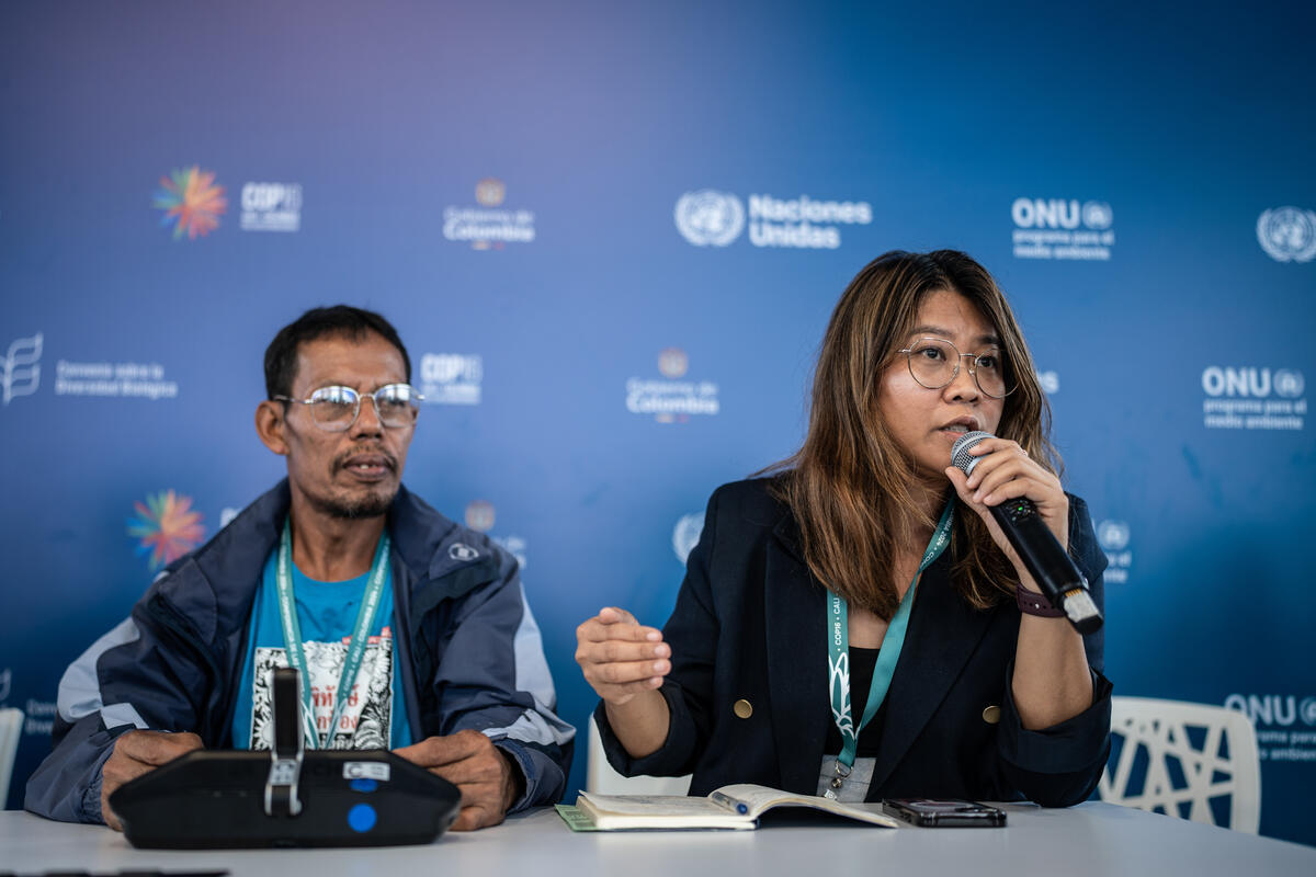 COP 16 Decisions Reflection: How It Matters for the SEA Region and ...