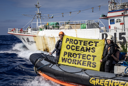 New Hope for Ethical Fisheries: Fishers Movement Groups Applaud ...